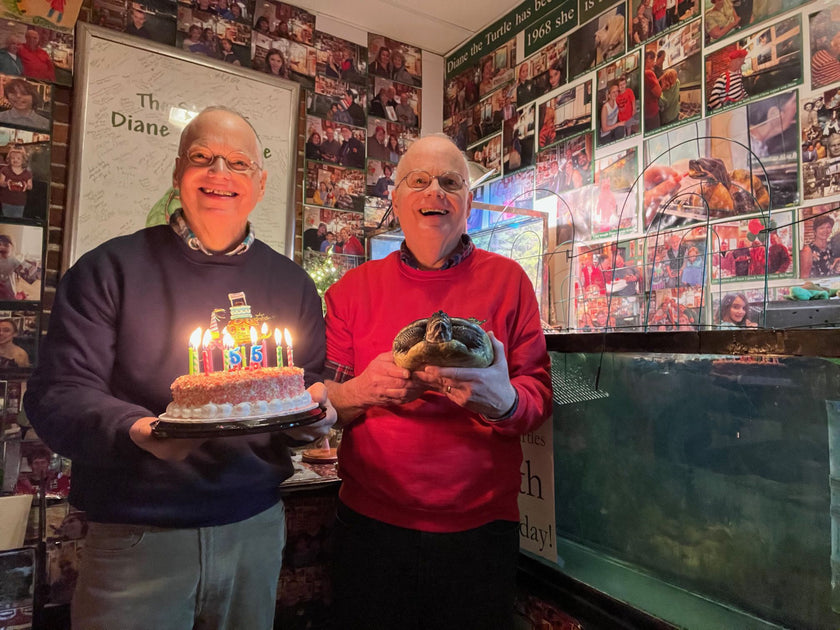 Diane the Turtle Turns 55 on December 15 2023 – TwinDesigns Gift Shop