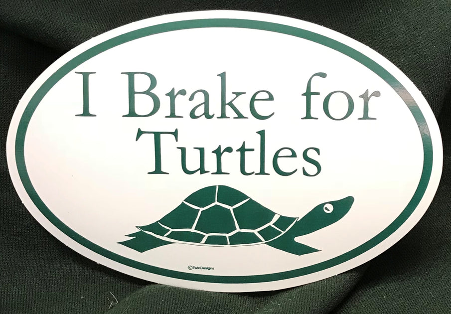 I Brake for Turtles Bumper Sticker – TwinDesigns Gift Shop