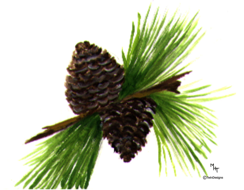 Pine Cone Note Cards – TwinDesigns Gift Shop
